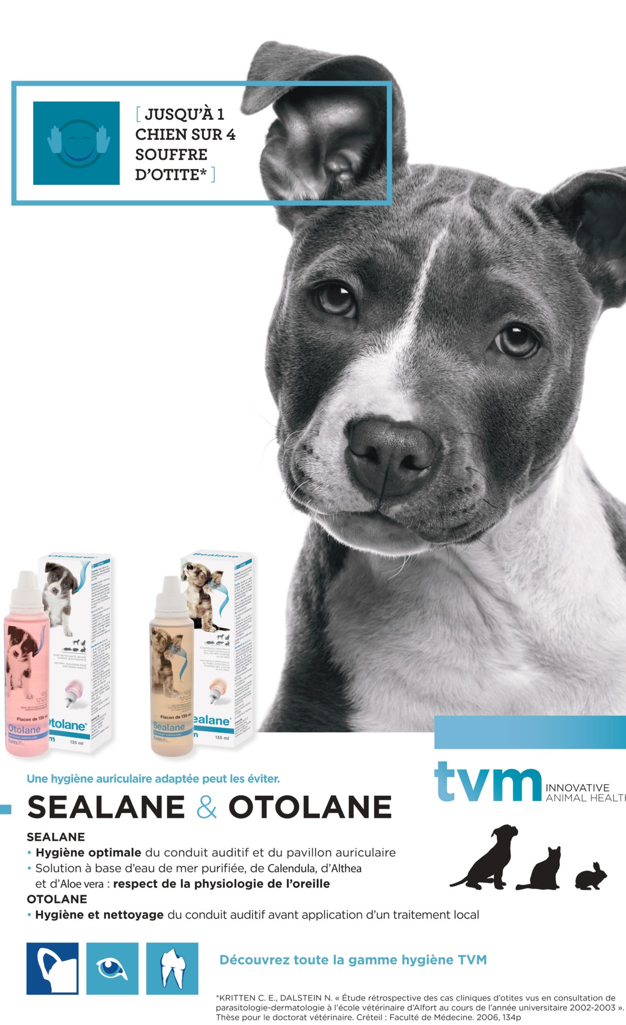 Poster Hygiène des oreilles (à l'unité) - Dômes Pharma France