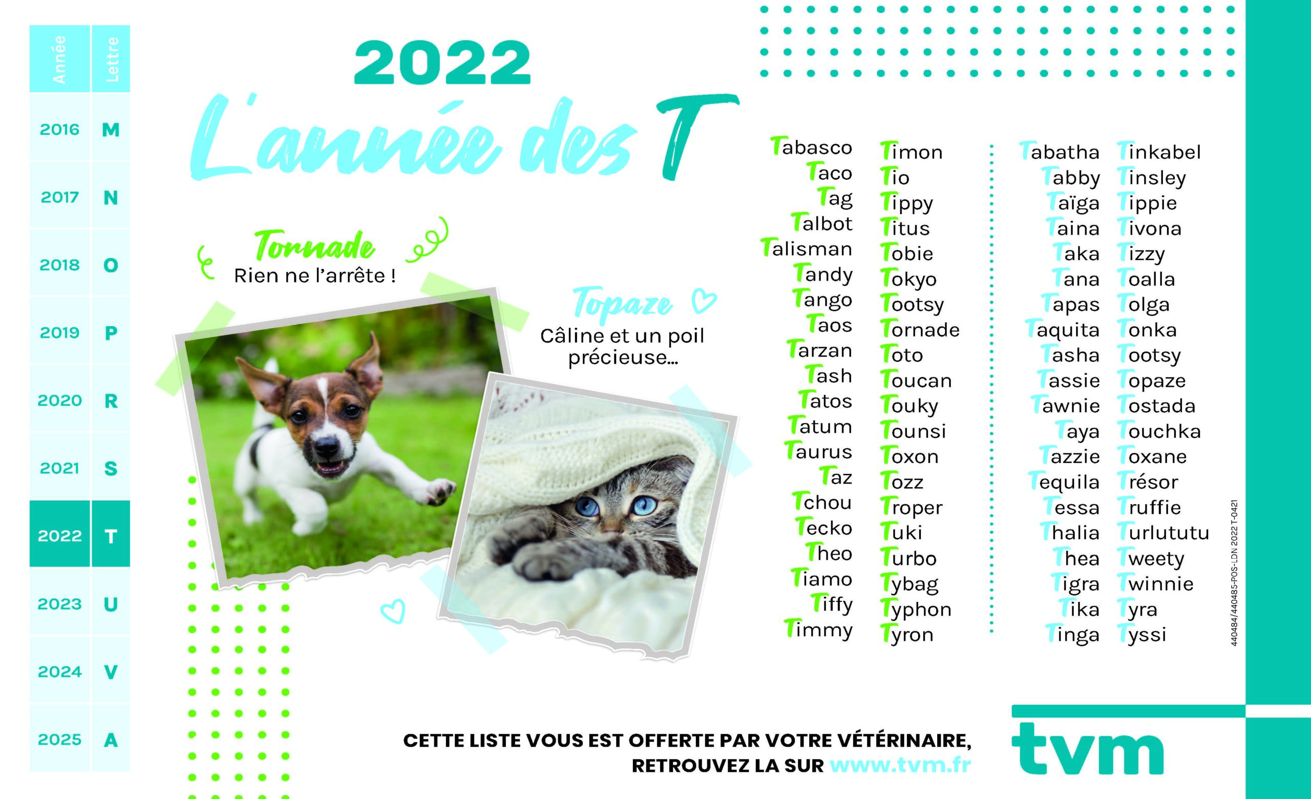 id-es-de-noms-en-t-pour-chiens-et-chats-ann-e-2022